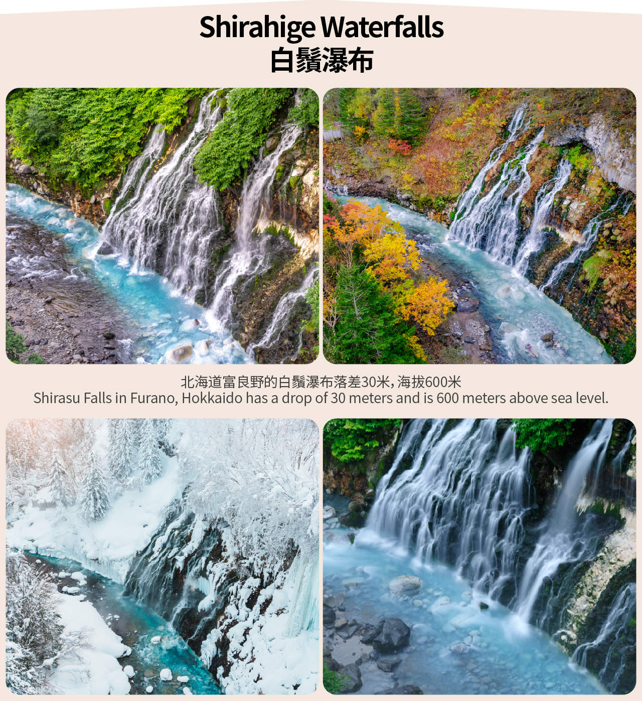 [Lawatan Pemandangan Musim Sejuk Fantasi Hokkaido] Zoo Asahiyama ...